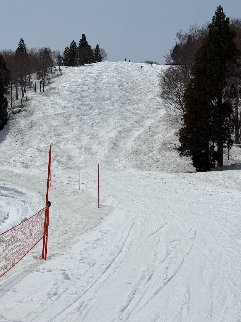 ガーラのコブ 20250419: コブ滑ろうよ！